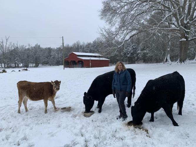 Snow day in Rhea | News | rheaheraldnews.com