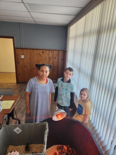 4-H launches annual Poultry Project | News | rheaheraldnews.com