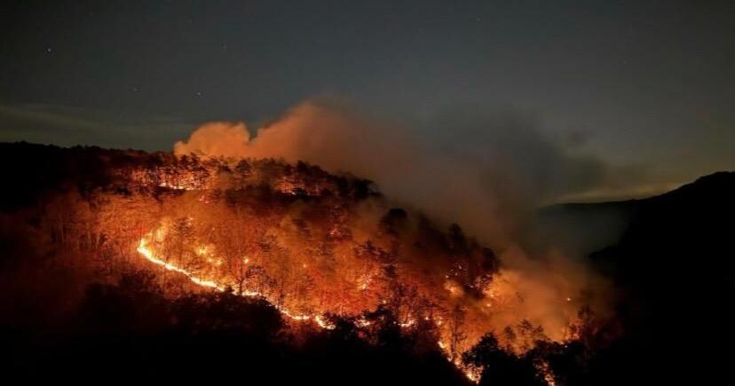 200 acres burn on Dayton Mountain | News | rheaheraldnews.com