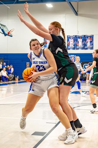 Sale Creek splits Rockwood | Sports | rheaheraldnews.com