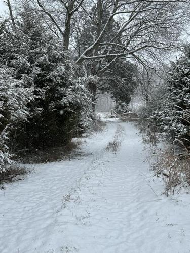 Let it snow! | News | rheaheraldnews.com