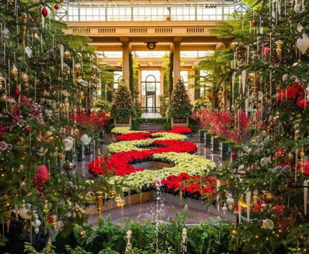 Thoughts on Christmas, Part 1 | Lifestyles | rheaheraldnews.com