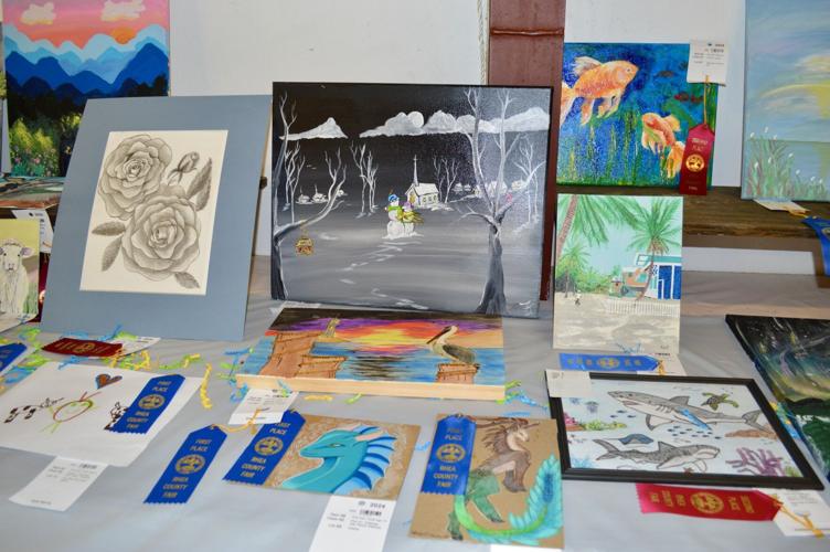 Rhea County Fair underway | News | rheaheraldnews.com