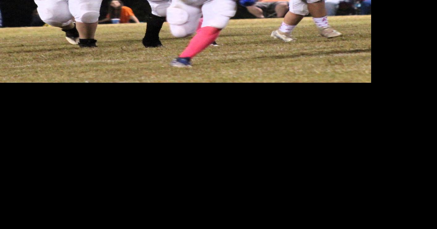 Sweatbees sting Tigers in shutout | Sports | rheaheraldnews.com