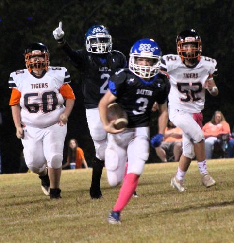 Sweatbees sting Tigers in shutout | Sports | rheaheraldnews.com