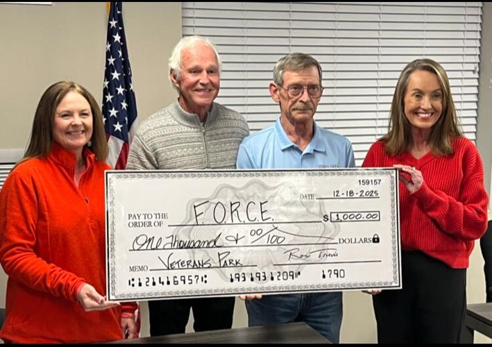 Local groups donate to new Rhea Co. Veterans Park | News ...