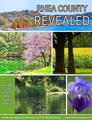 Rhea sets voting record, Graysville votes in new mayor | News ...