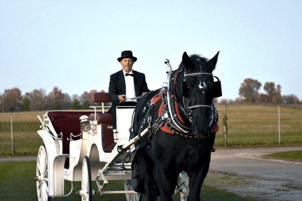 Jingle all the way: Koger Stables share holiday magic through carriage ...