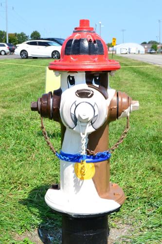 Berea Fire Department announces second fire hydrant fundraiser | News ...