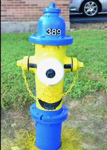 Berea Fire Department announces second fire hydrant fundraiser | News ...