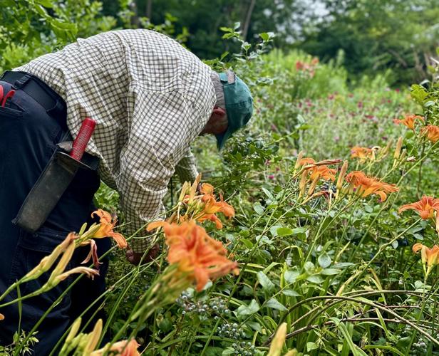 Hillside wonders and urban farms: Highlights from BAC’s Garden Tour ...
