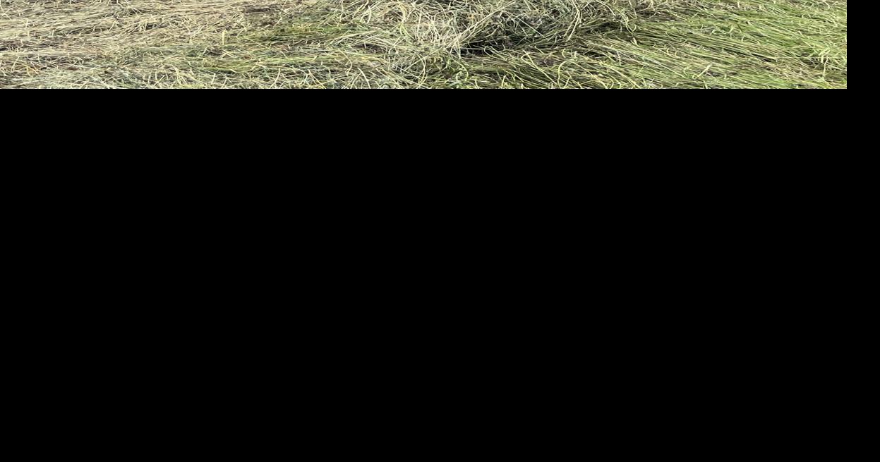 A real hay raker | Community | richmondregister.com