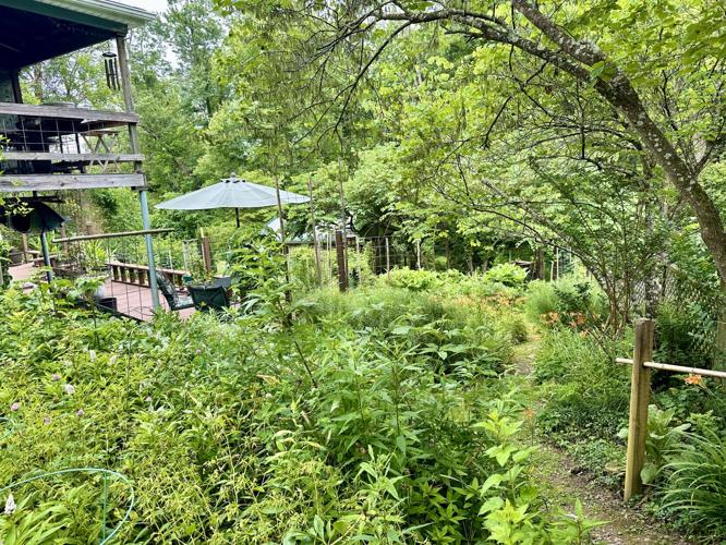 Hillside wonders and urban farms: Highlights from BAC’s Garden Tour ...