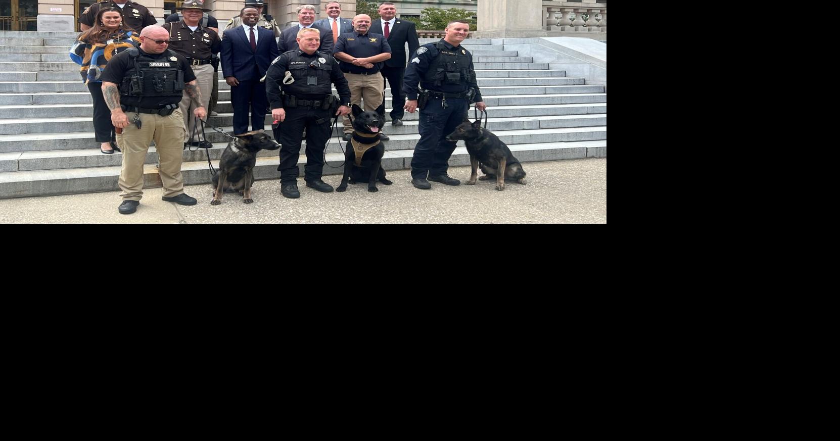 Madison County Sheriff's Office K9 teams take part in demonstration for ...