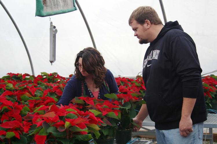 eastern horticultural