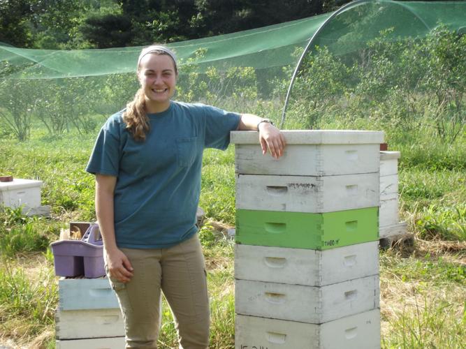 Honeybees and Hannah Carter | Community | richmondregister.com