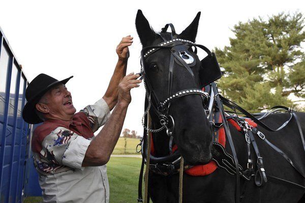 Jingle all the way: Koger Stables share holiday magic through carriage ...