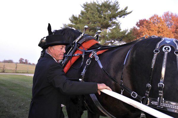 Jingle all the way: Koger Stables share holiday magic through carriage ...