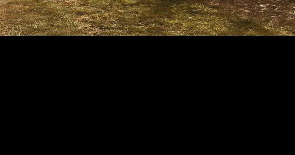 MADSOCIAL Day Trip Series: Pick your own fun at Eckert’s Boyd Orchard ...