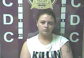 Multiple arrests made during theft investigation | News ...