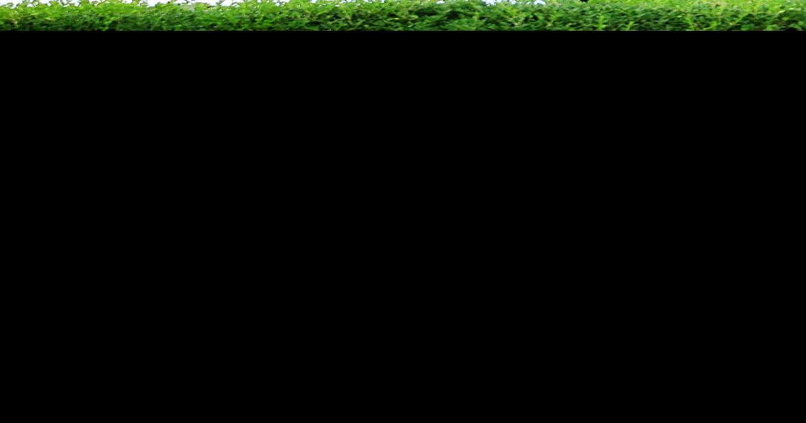 Diane Melius and Seth DeLong wed at historic White Hall | Community ...