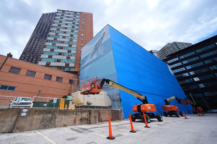 Artist suing FIFA over destruction of Dallas whale mural before World ...