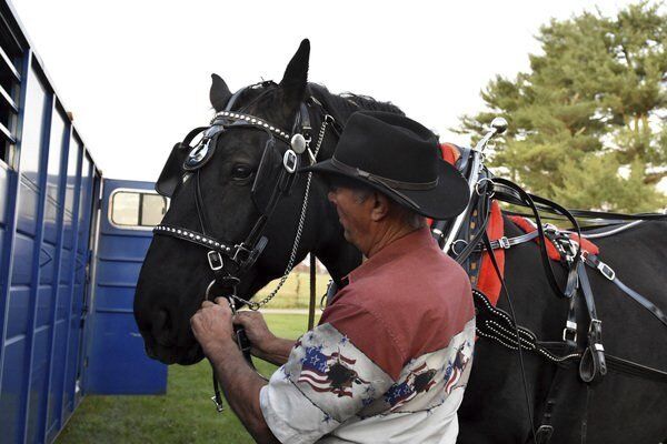 Jingle all the way: Koger Stables share holiday magic through carriage ...
