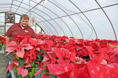 eastern horticultural