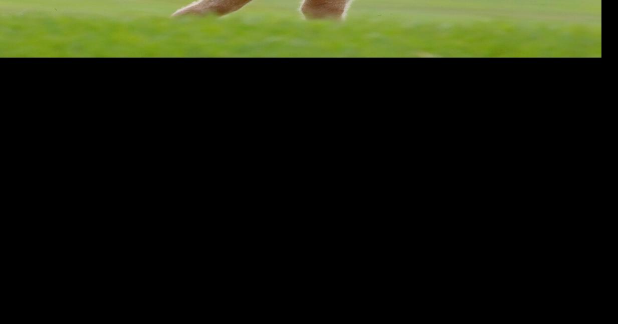 HS BOYS GOLF: Thomis shines again for Central | Sports ...