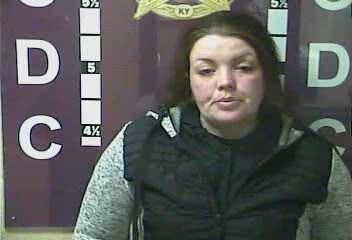 CRIME REPORT: Man exposes himself at Berea McDonalds play area | News ...