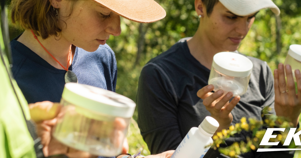 EKU Researcher leads Global Bee Conservation Efforts | Community ...