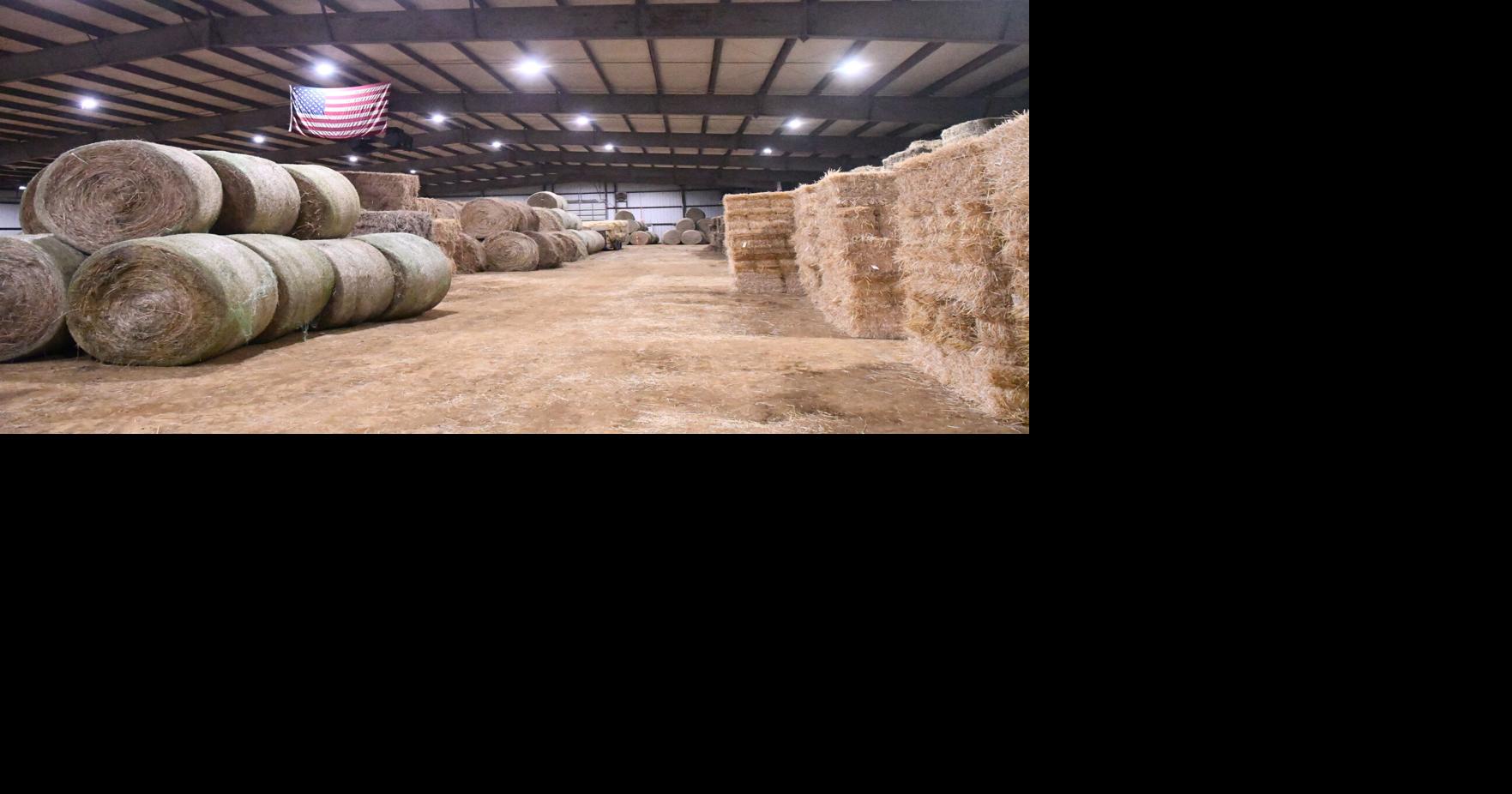 Hay auction returning to fair grounds this Saturday ...