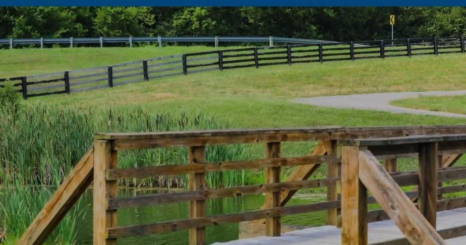 Catfish stocking scheduled at White Hall Park pond | News ...