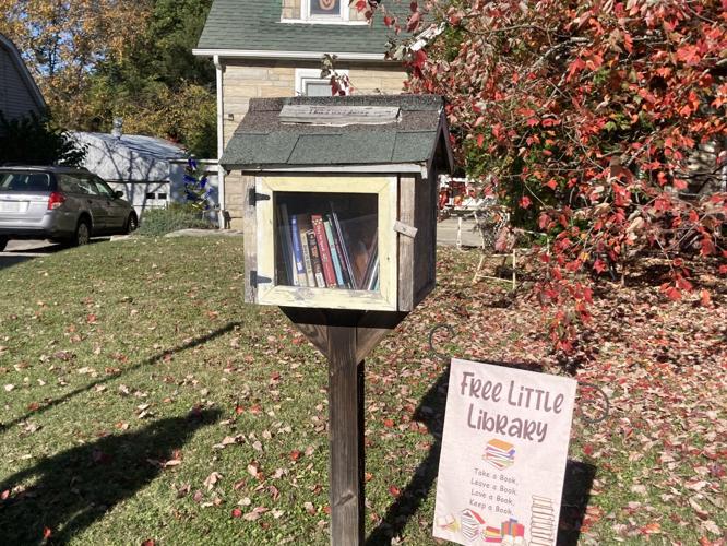 Richmond resident's 'Little Free Library' celebrates ten years | News ...