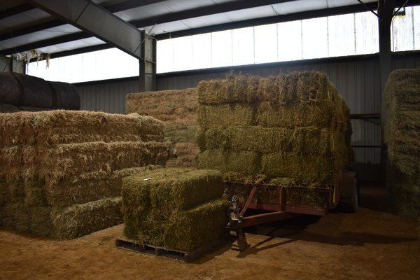 Hay auction to see big turnout, higher prices | Madison County ...