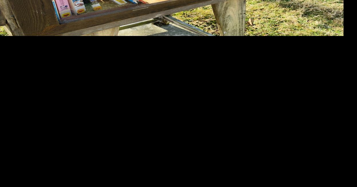 A bit of give and take: Share a book at local Little Free Libraries ...