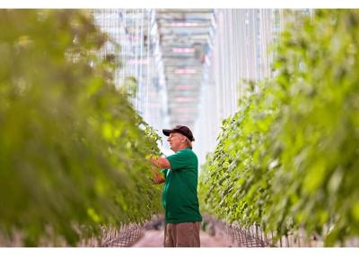 AppHarvest completes sale of Berea farm to Mastronardi Produce for ...