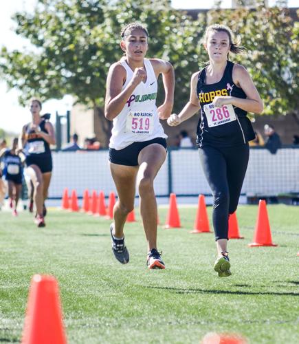 Española, Pojoaque Cross Country Preview | Sports | riograndesun.com