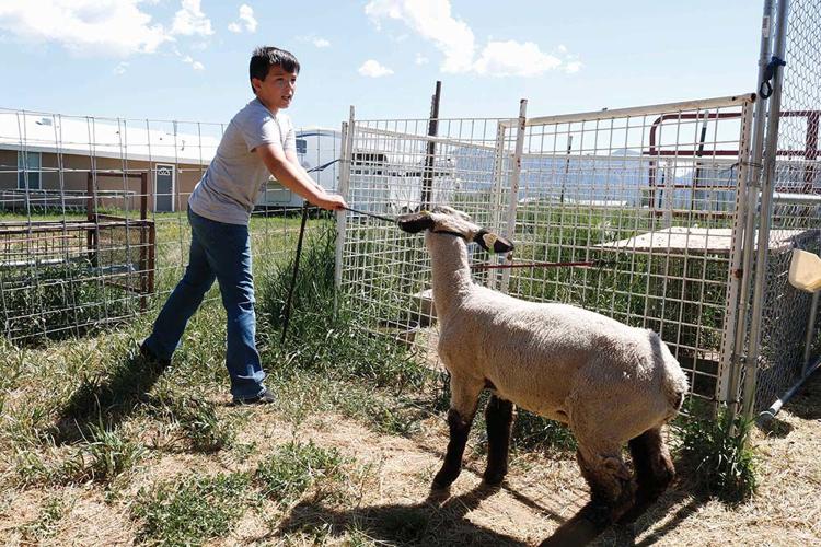 For Sibling Competitors, A Tireless Summer | News | riograndesun.com