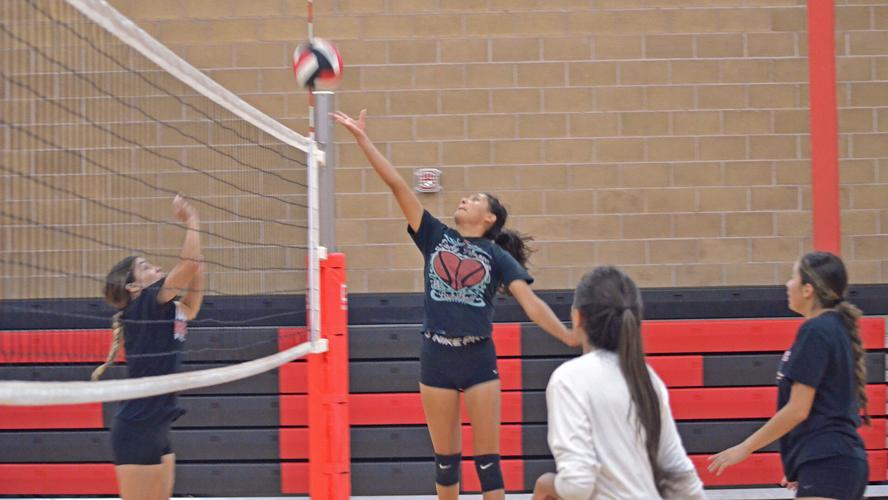 Lady Lobos Look to Continue Recent Success | Sports | riograndesun.com