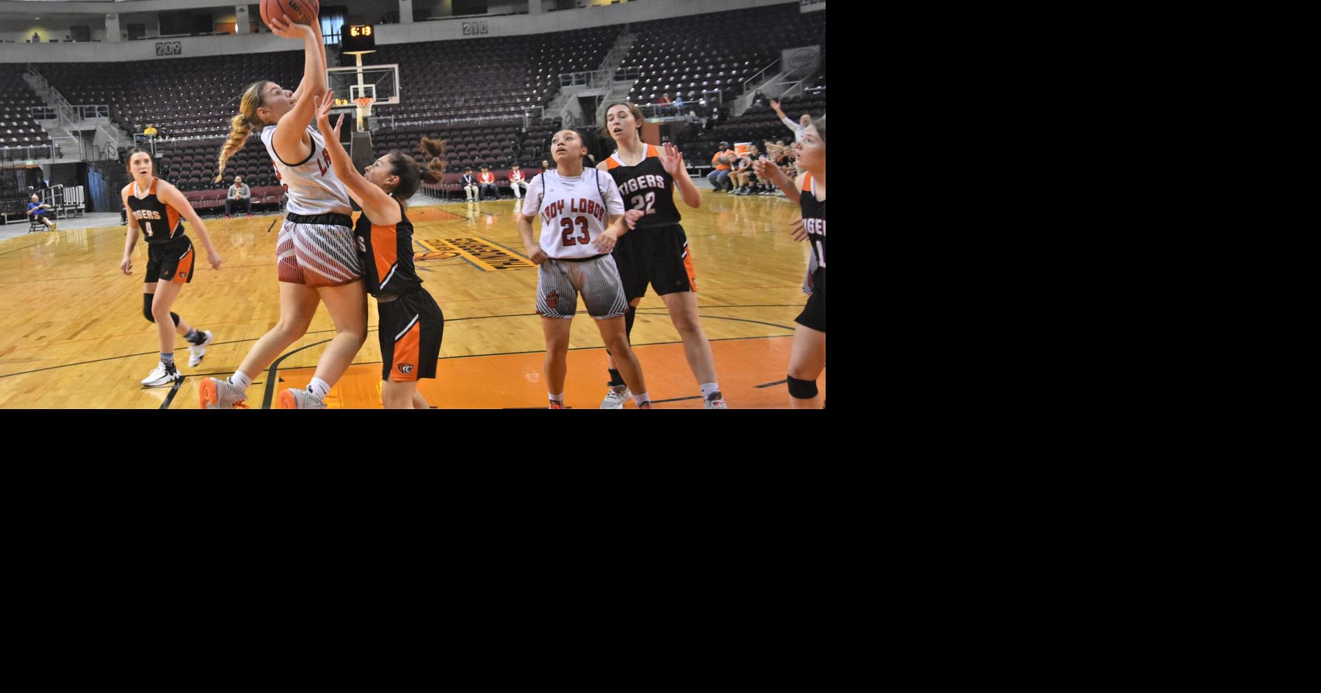 Lady Lobos on to the State Final | Sports | riograndesun.com