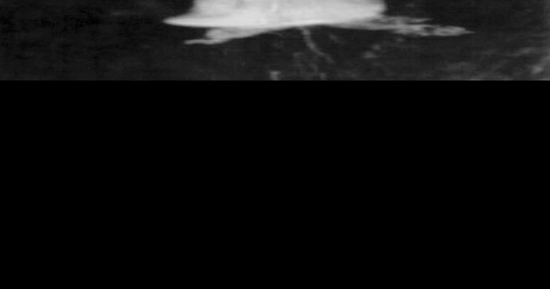 MARY ELIZABETH BRIDGES | Obituaries | riograndesun.com