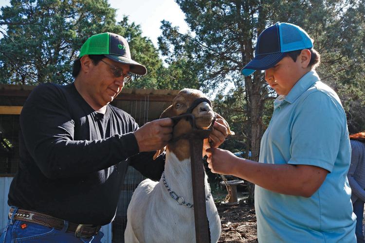 County Fair Contestants Enter Crunch Time | News | riograndesun.com