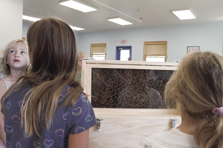 From NASA to the cream of the crop | Lifestyle | rivertonranger.com