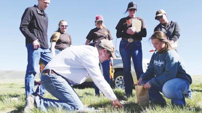 UW adds ranch management, ag leadership programs | News ...