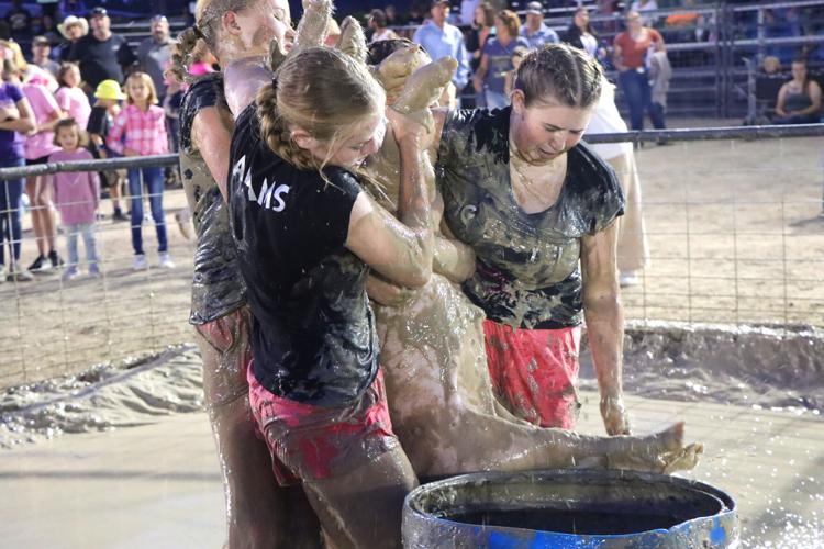 Hog Wild | Multimedia | rivertonranger.com