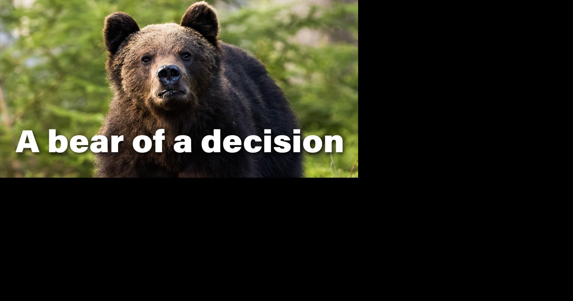 USFWS: Wyoming grizzlies still endangered | State News | rivertonranger.com