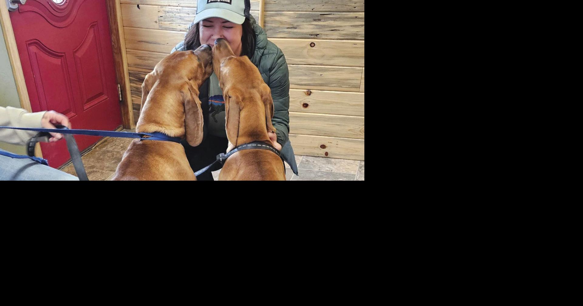 February is for the dogs | Lifestyle | rivertonranger.com