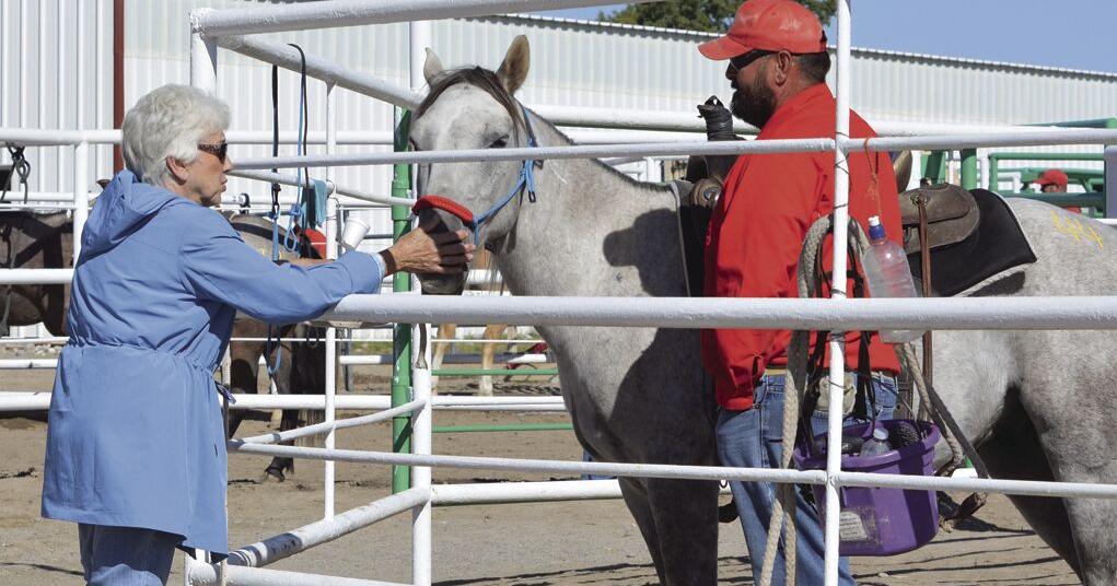 BLM and Wyoming Honor Farm place 40 gentled animals | News ...