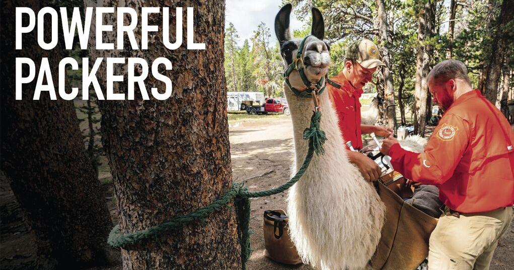 Powerful packers | News | rivertonranger.com